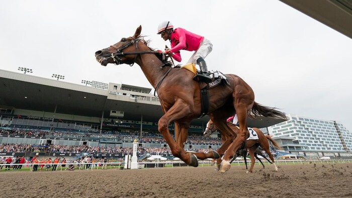 Paramount Prince remporte le King’s Plate à Toronto | Radio-Canada
