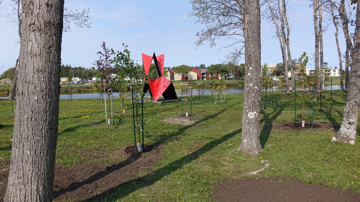 Le parc des Îles de Matane se refait une beauté | Radio-Canada