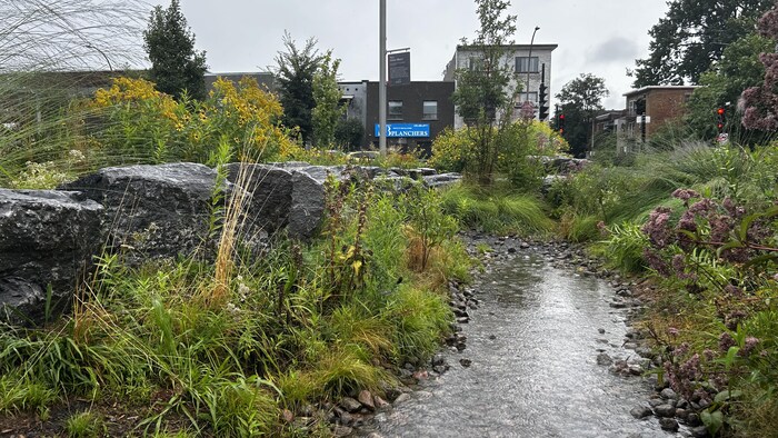 Pluies diluviennes : l’heure est au nettoyage dans le Grand Montréal ...