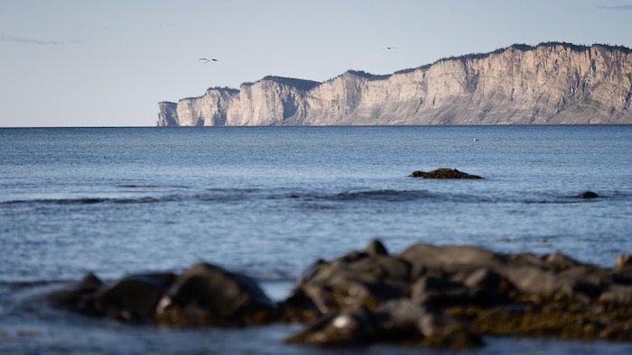 Québec aurait intérêt à reprendre la gestion du parc national Forillon ...