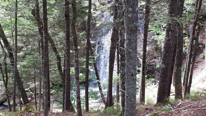 La promenade du sentier Fundy souffle ses 25 bougies | Radio-Canada