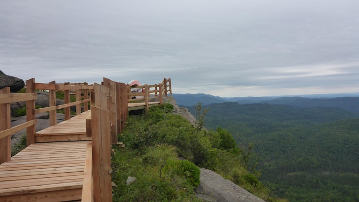 Le parc national des Monts-Valin sous la loupe de chercheurs | Radio-Canada