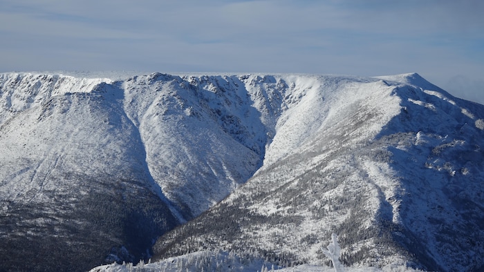 Des efforts pour baliser le ski dans le parc de la Gaspésie | Radio-Canada