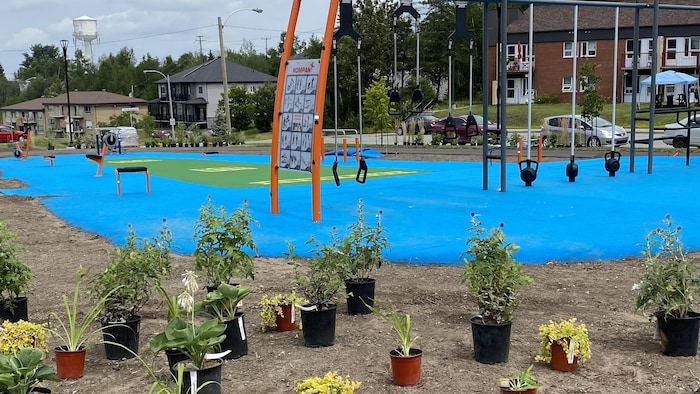 Une troisième plantation communautaire prend forme à Val-d’Or | Radio ...