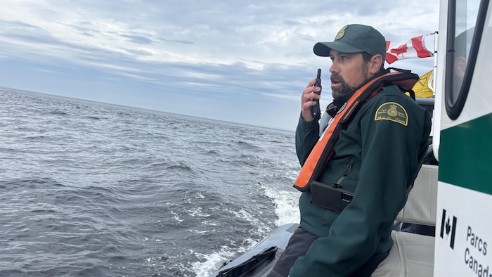 Une 10e édition pour le blitz béluga au parc marin du Saguenay–Saint ...