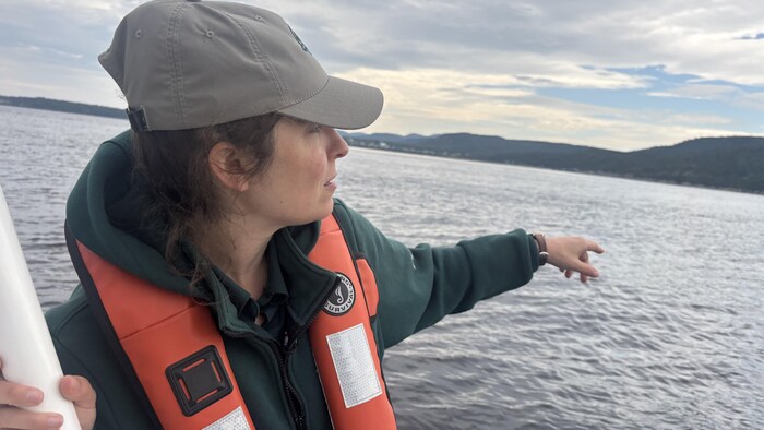 Une 10e édition pour le blitz béluga au parc marin du Saguenay–Saint ...