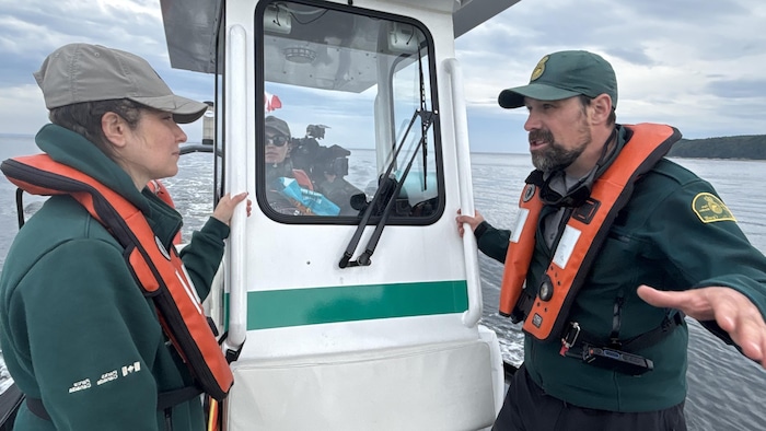 Une 10e édition pour le blitz béluga au parc marin du Saguenay–Saint ...