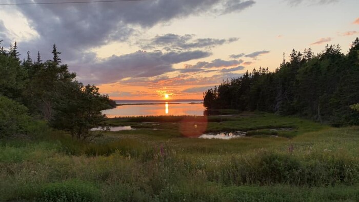 Des citoyens se mobilisent pour sauver le parc provincial de la plage ...