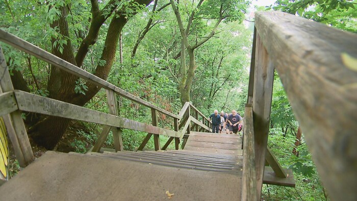 Découvrir Québec à travers ses écrivains | Radio-Canada