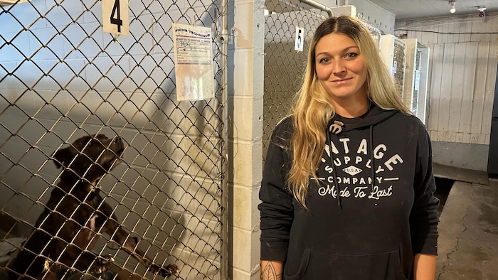 Le refuge pour chien La passion de Rubie débordé | Radio-Canada