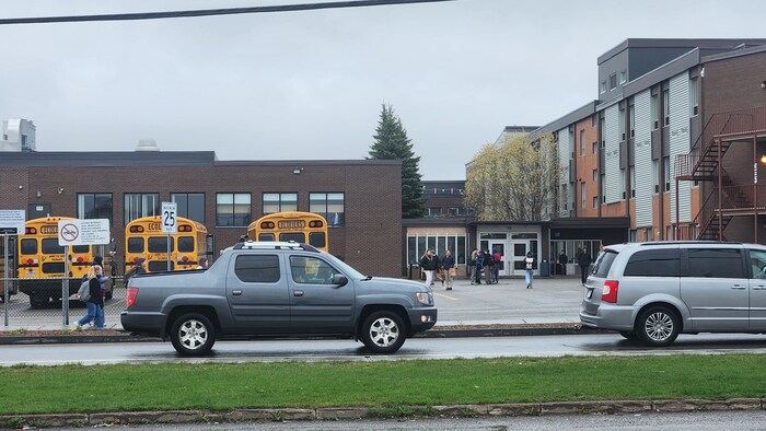 Des insectes dans la cuisine de l’école Paul-Hubert | Radio-Canada