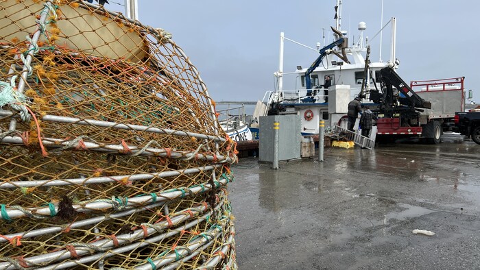 Épais brouillard sur l’industrie des pêches | Radio-Canada