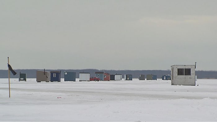 Prolongation du moratoire sur la perchaude au lac Saint-Pierre | Radio ...