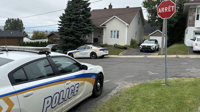 Crime organisé : quatre personnes arrêtées à Lévis | Radio-Canada