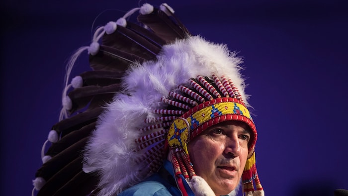 Stérilisation Forcée De Femmes Autochtones Perry Bellegarde Demande