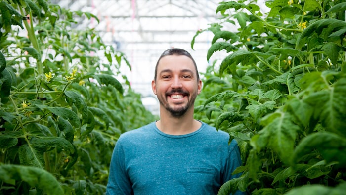 Pénurie de laitue : certains réussissent à contourner le problème ...