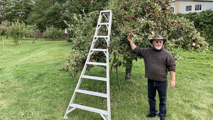 Une saison de rêve dans les vergers de l’Abitibi-Témiscamingue | Radio ...