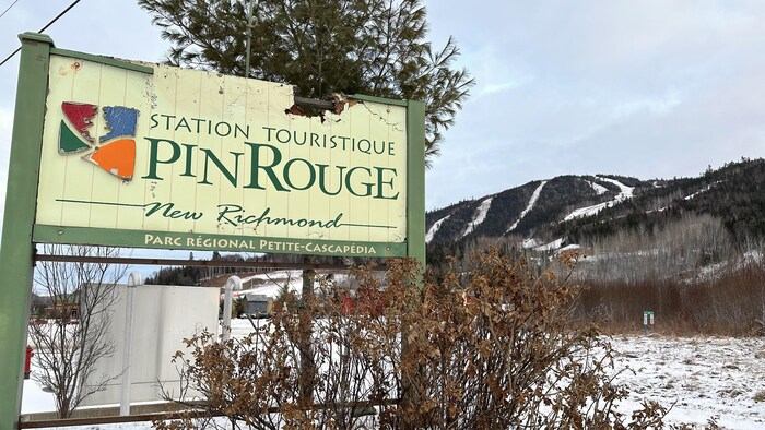 Pin Rouge lance sa saison malgré des finances difficiles | Radio-Canada