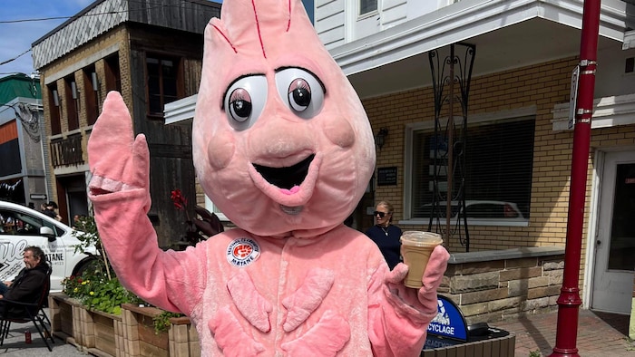 Crevette de Matane : un « monument de l’histoire » tombe | Radio-Canada