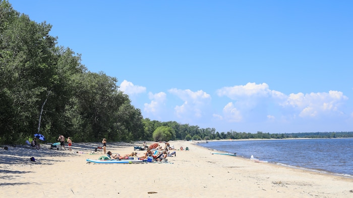 La forte concentration de bactérie E.coli dans l’eau force la fermeture ...