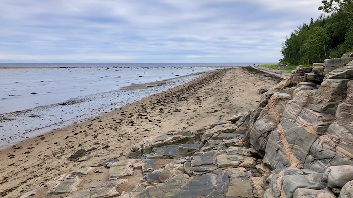 Le secteur touristique se réjouit modérément de l’ouverture des ...