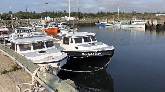 Réfection des quais : les pêcheurs de Pointe-Verte s'impatientent ...
