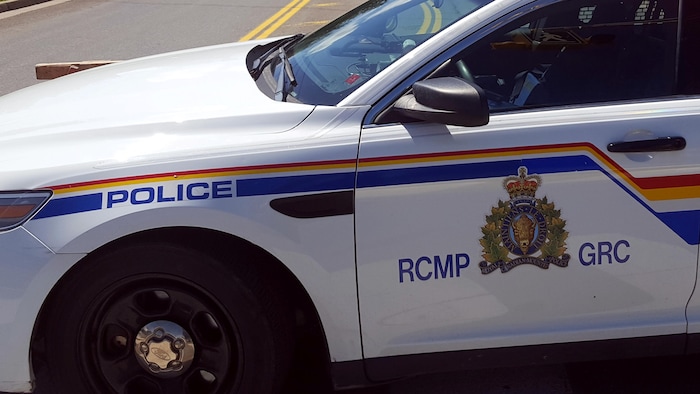 Vol d’une voiture de police : 18 chefs d’accusation en N.-É. pour un ...