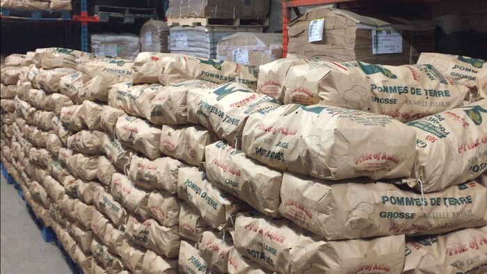 Don Poulin Potatoes se modernise pour augmenter sa production | Radio ...
