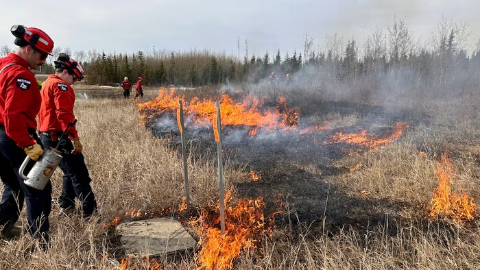 High Level se prépare en vue des feux de forêt | Radio-Canada
