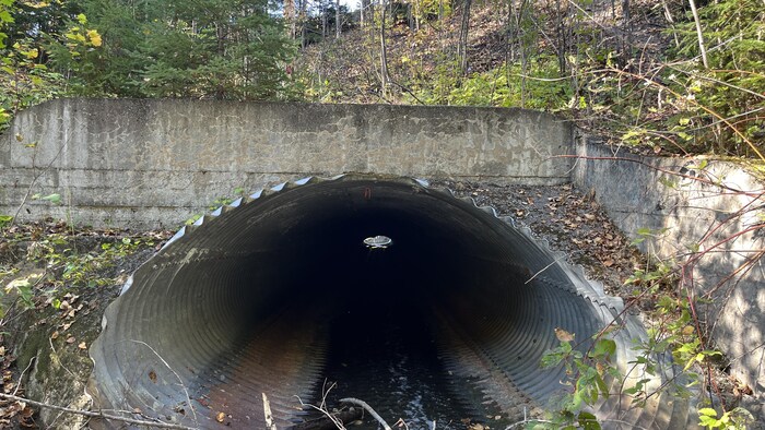 Ponceau de la rue du roi Georges à Jonquière : début des travaux en mai ...