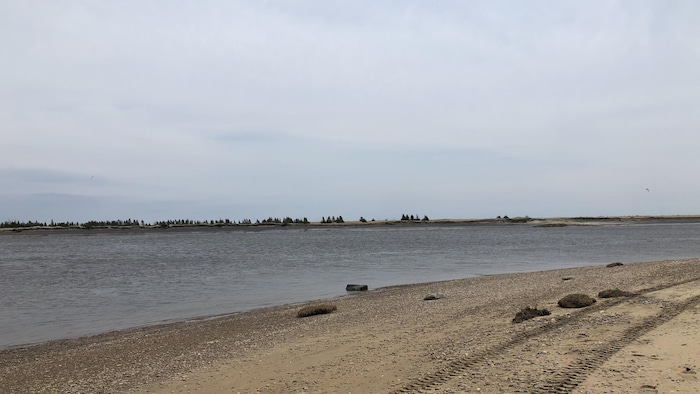 Portneuf-sur-Mer rend ses plages plus accessibles | Radio-Canada