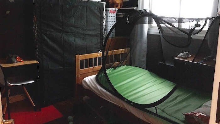 Procès pour enfant affamé : « Une approche plus abusive que ...