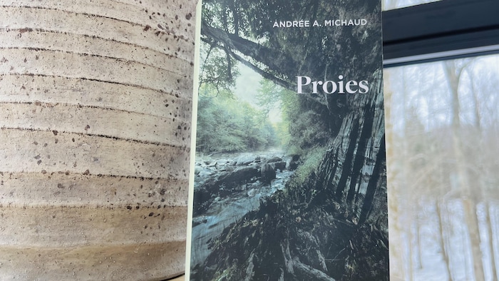 Un treizième roman pour l’Estrienne Andrée A. Michaud | Radio-Canada