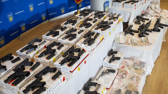 Trafic d’armes à feu : plus gros coup de filet de la police de Peel ...