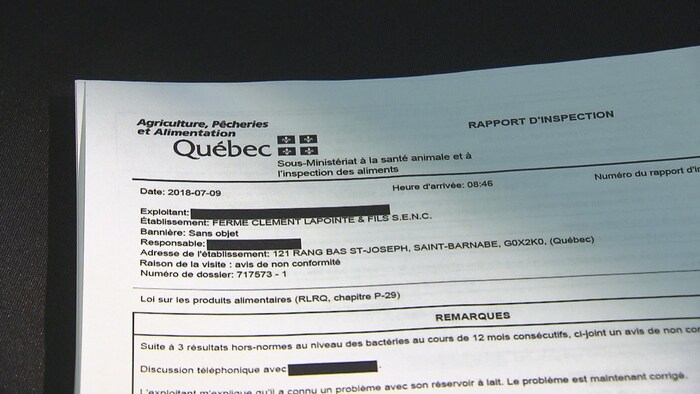 Le propriétaire des vaches en cavale avait un épais dossier au MAPAQ | Radio-Canada