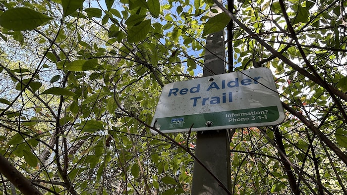 Le sentier Red Alder, une « forêt de guérison » en devenir, dans le sud ...