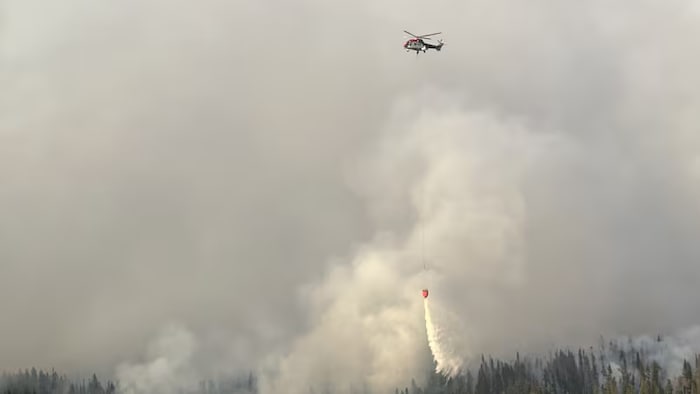 Feux de forêt 2025 : l’Ontario a connu le plus grand feu de forêt ...