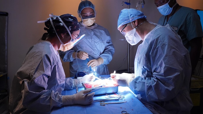 Trouver un donneur de rein sur les réseaux sociaux : l’envers du décor ...