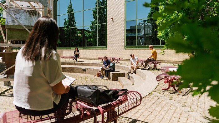 Rentrée scolaire à l’UQO et au Collège La Cité | Radio-Canada
