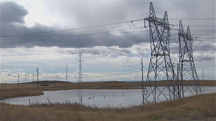 Des analystes saluent l’abandon de la réforme du marché de l ...