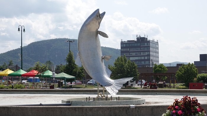 COVID-19 : le Nouveau-Brunswick élargit son réseau de tests des eaux ...
