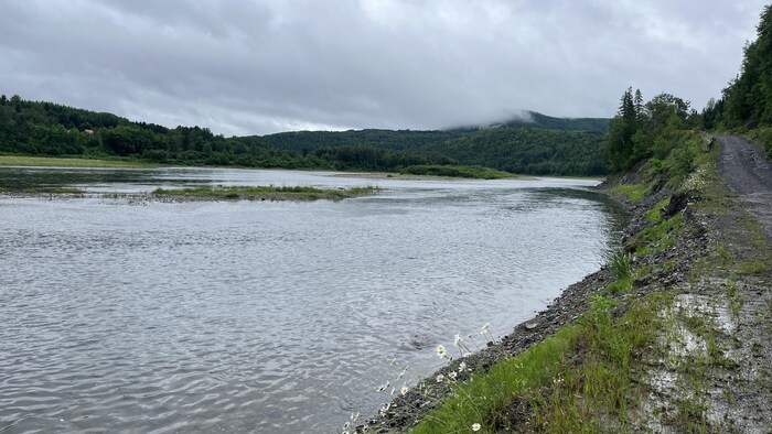 La pêche au saumon restreinte sur la rivière Restigouche | Radio-Canada
