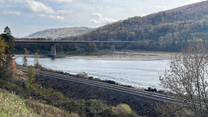Du goudron et d’autres débris jetés dans la rivière Restigouche, près ...