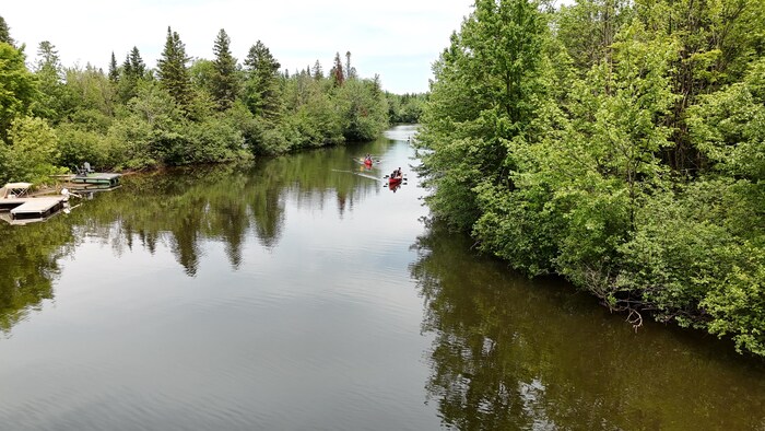 Québec coupe court au suivi de la qualité de l’eau dans certaines ...