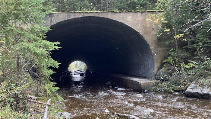 Un chemin temporaire en préparation pour contourner la route 172 ...