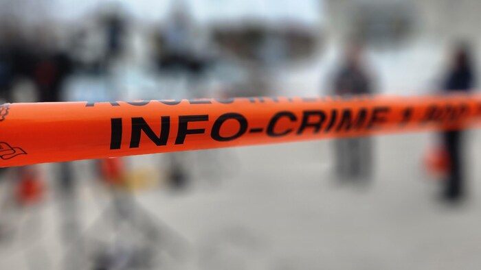 Info-Crime Montréal enregistre plus de 20 000 signalements en un an ...