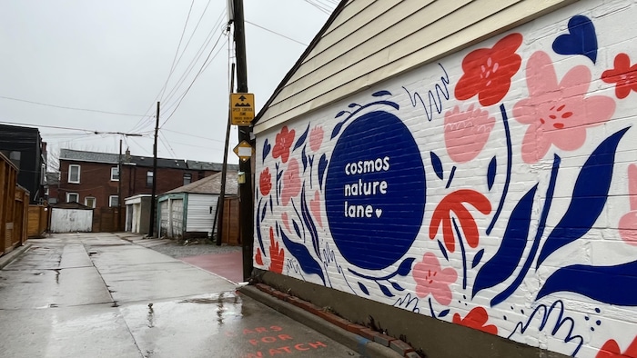La renaissance des ruelles de Toronto | Radio-Canada
