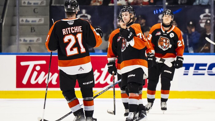 Les Wildcats s’inclinent 3-1 face aux Tigers et subissent un deuxième ...