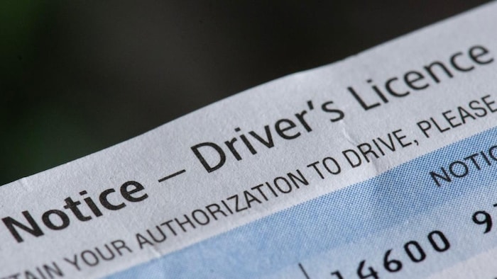 Didn’t get a notice to renew your Quebec driver’s licence? You're not ...
