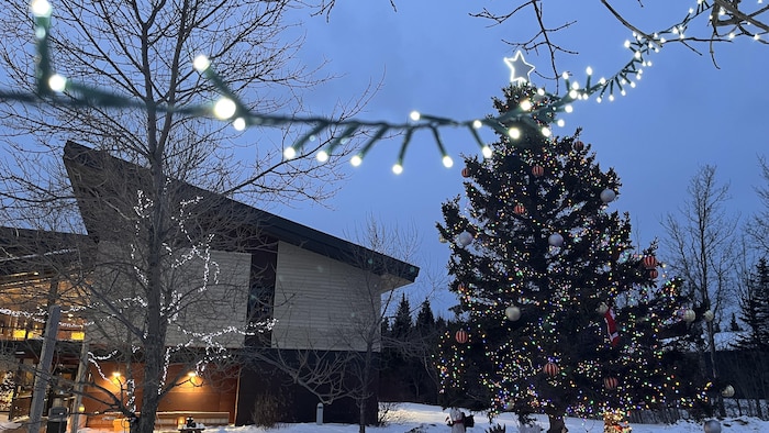 Le « roi des forêts » illuminé à Uashat | Radio-Canada